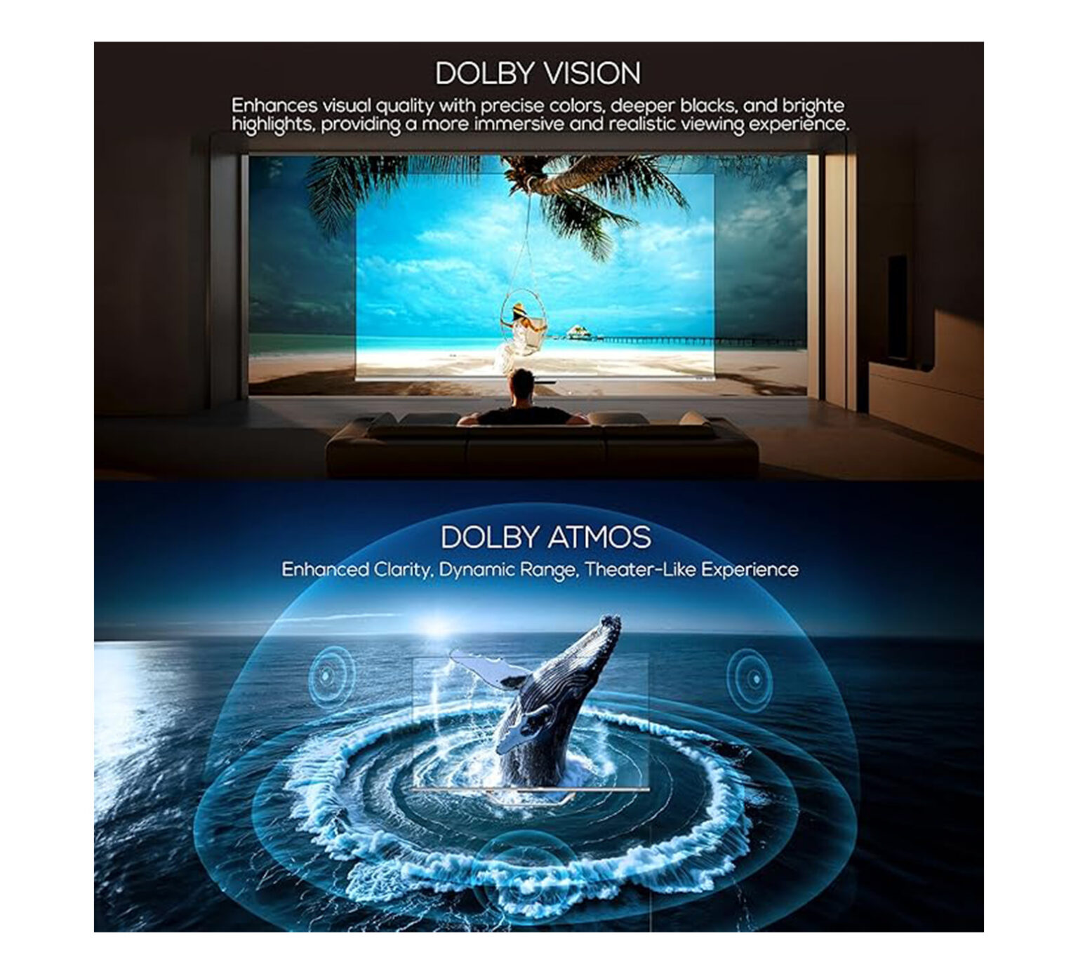 Haier 43 inch QLED Smart Google TV (43S800QT)